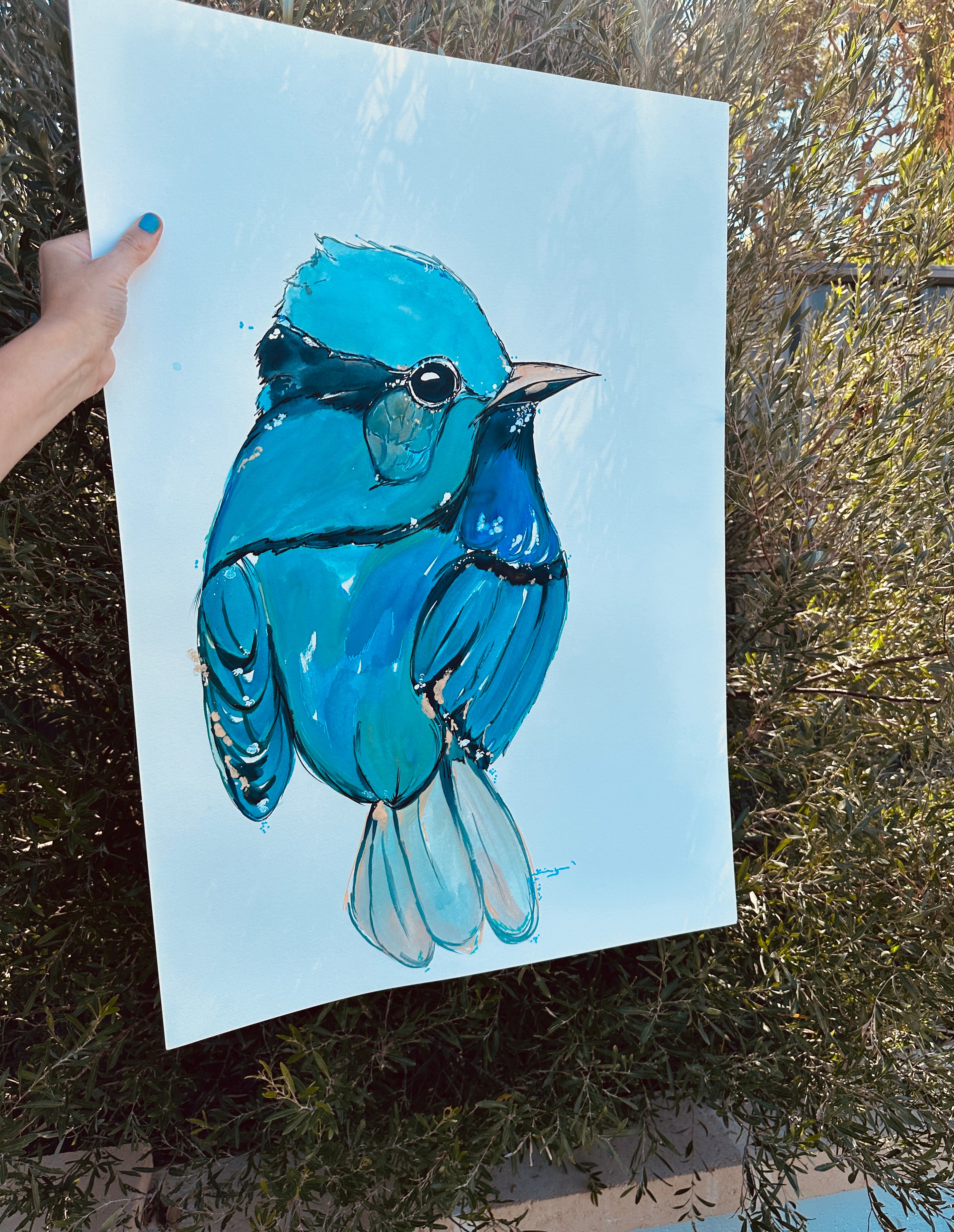Bubble The Blue Wren – Sunny Life Art